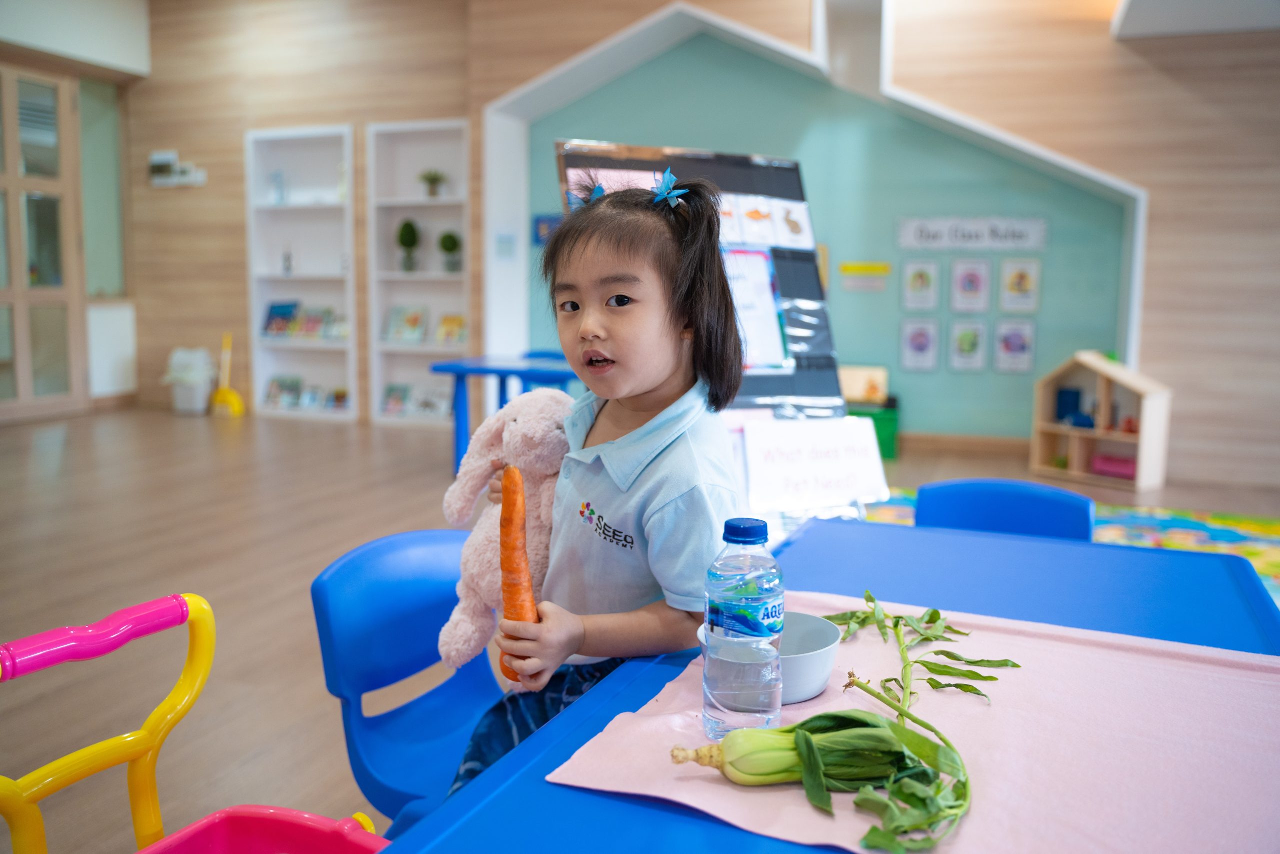 SEEd Academy Gallery – SEEd Academy