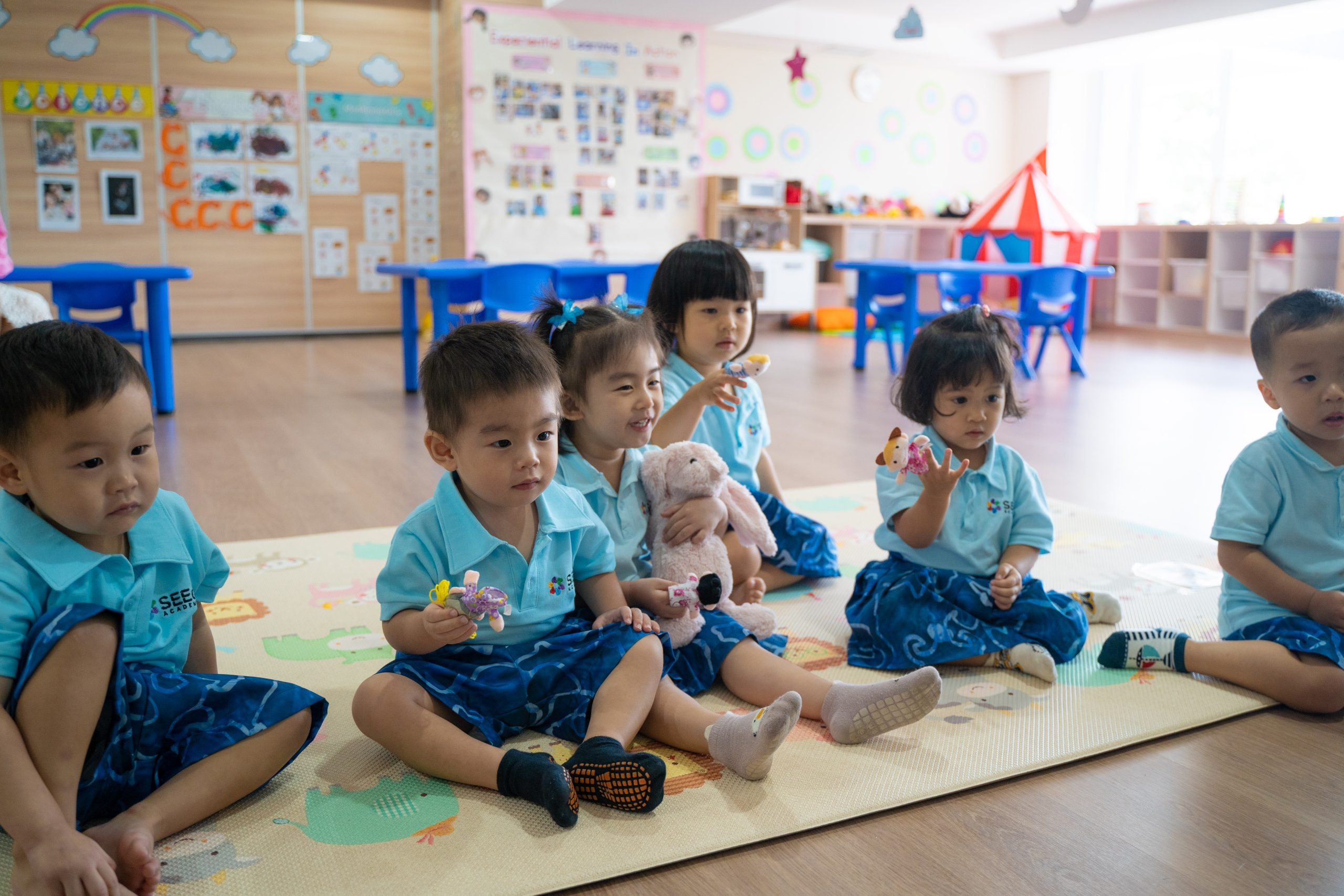 SEEd Academy Gallery – SEEd Academy