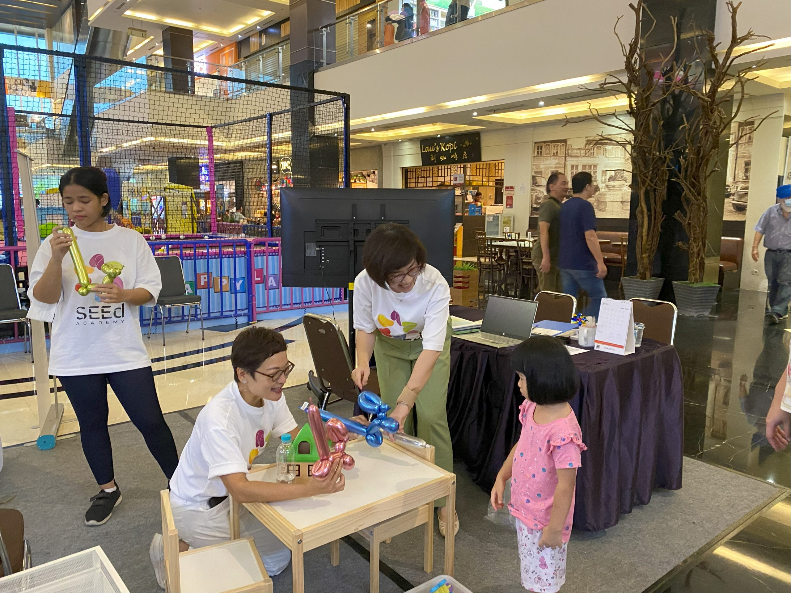 SEEd Academy Gallery – SEEd Academy